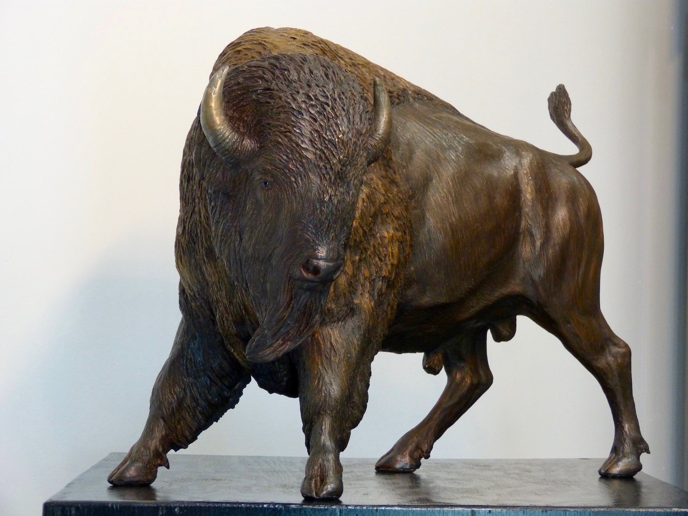 Bison, Buffalo, Bronze Sculpture | Tom Hjorleifson